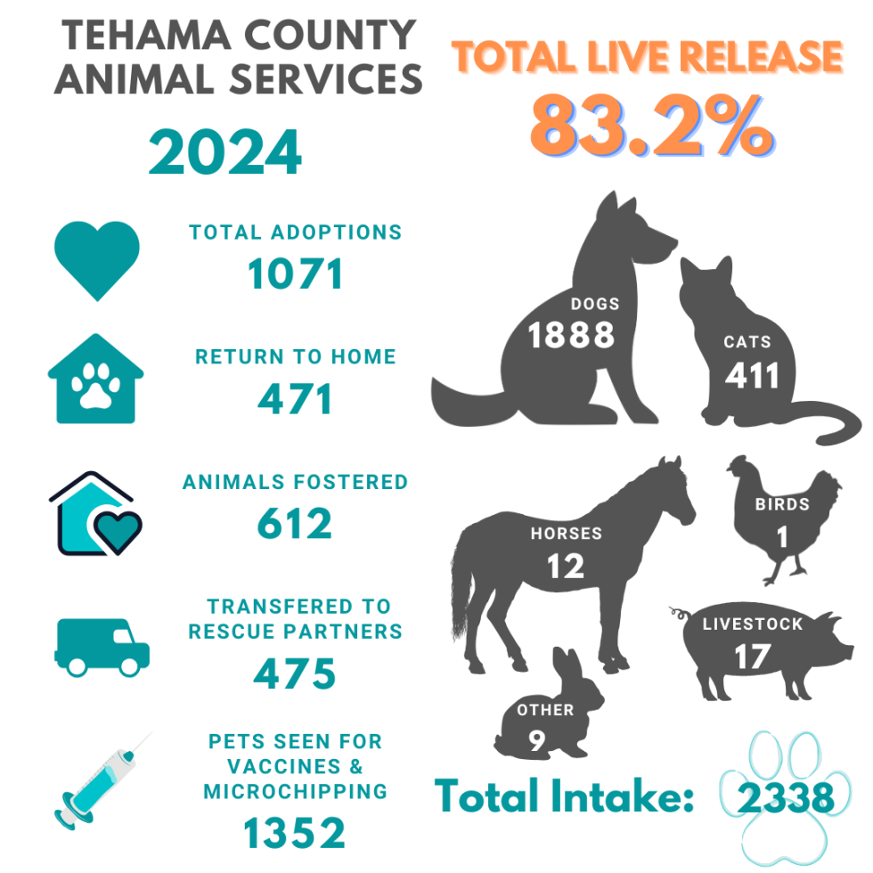 Shelter Statistics | Tehama County
